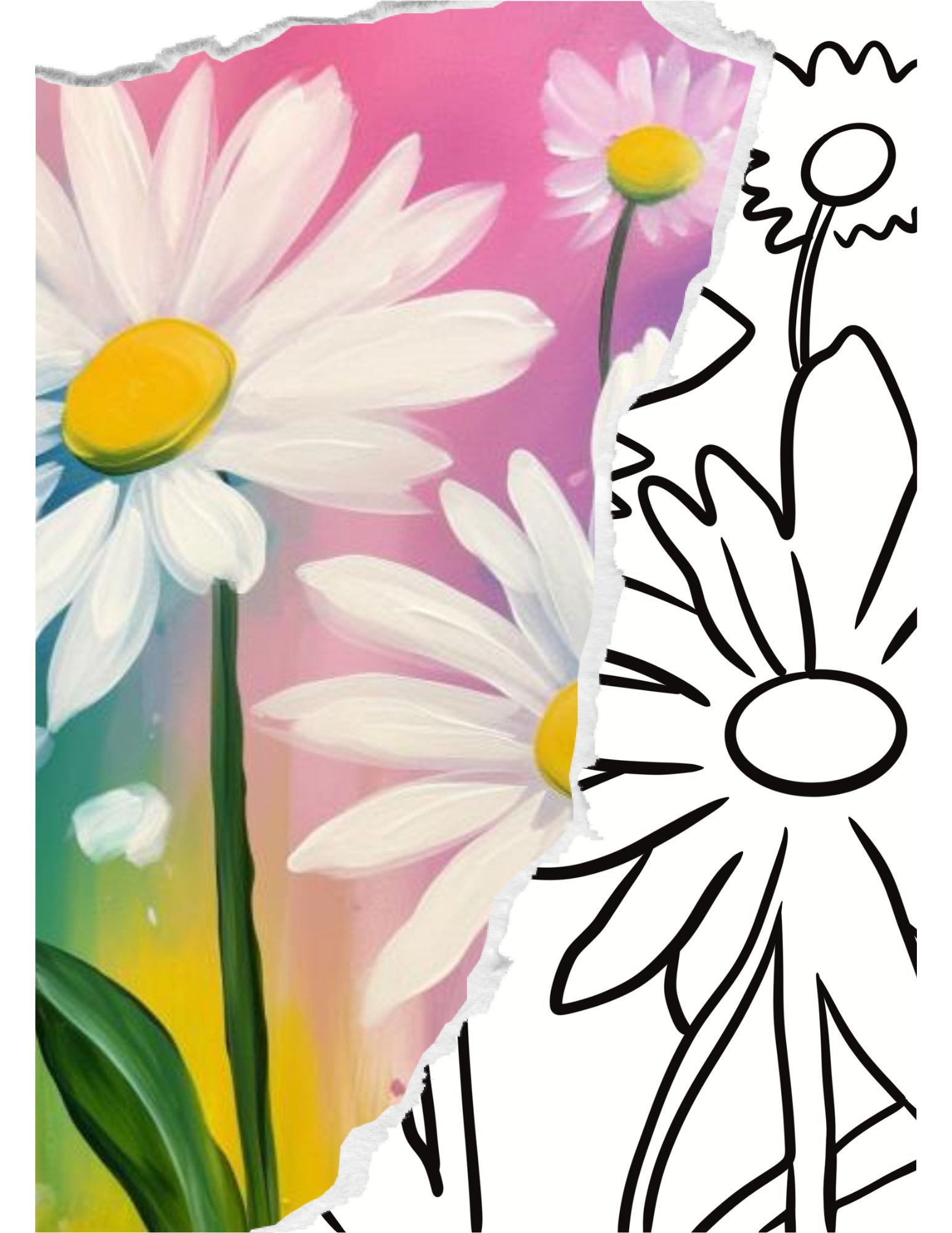 Flower of the Month – April – Daisy – Art Dubois Studios